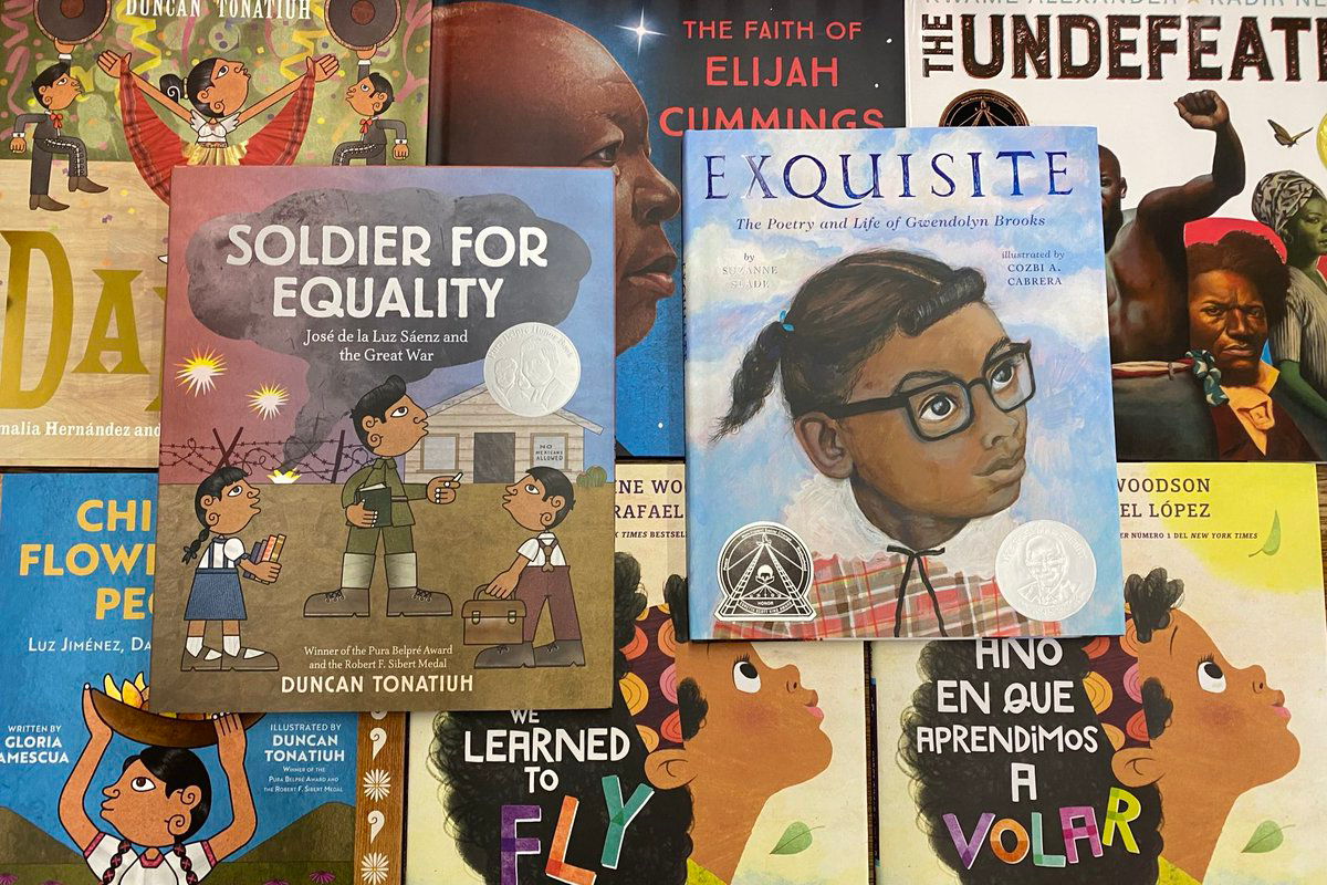 Diverse Books for All Coalition Giving Access to 145,000 Diverse Books ...